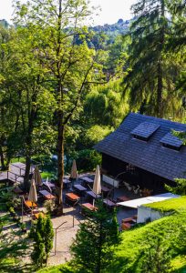 Restaurant Castelul Bran - Bun Venit la Restaurantul Castelului!